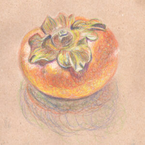 Illustrator and designer, Janet Danforth - Drawn Delicious